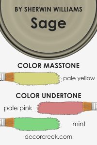 Sage SW 2860 Paint Color by Sherwin Williams - DecorCreek