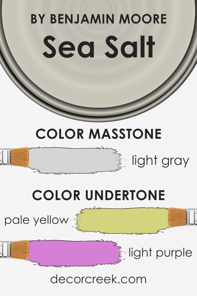 Sea Salt CSP-95 Paint Color by Benjamin Moore - DecorCreek