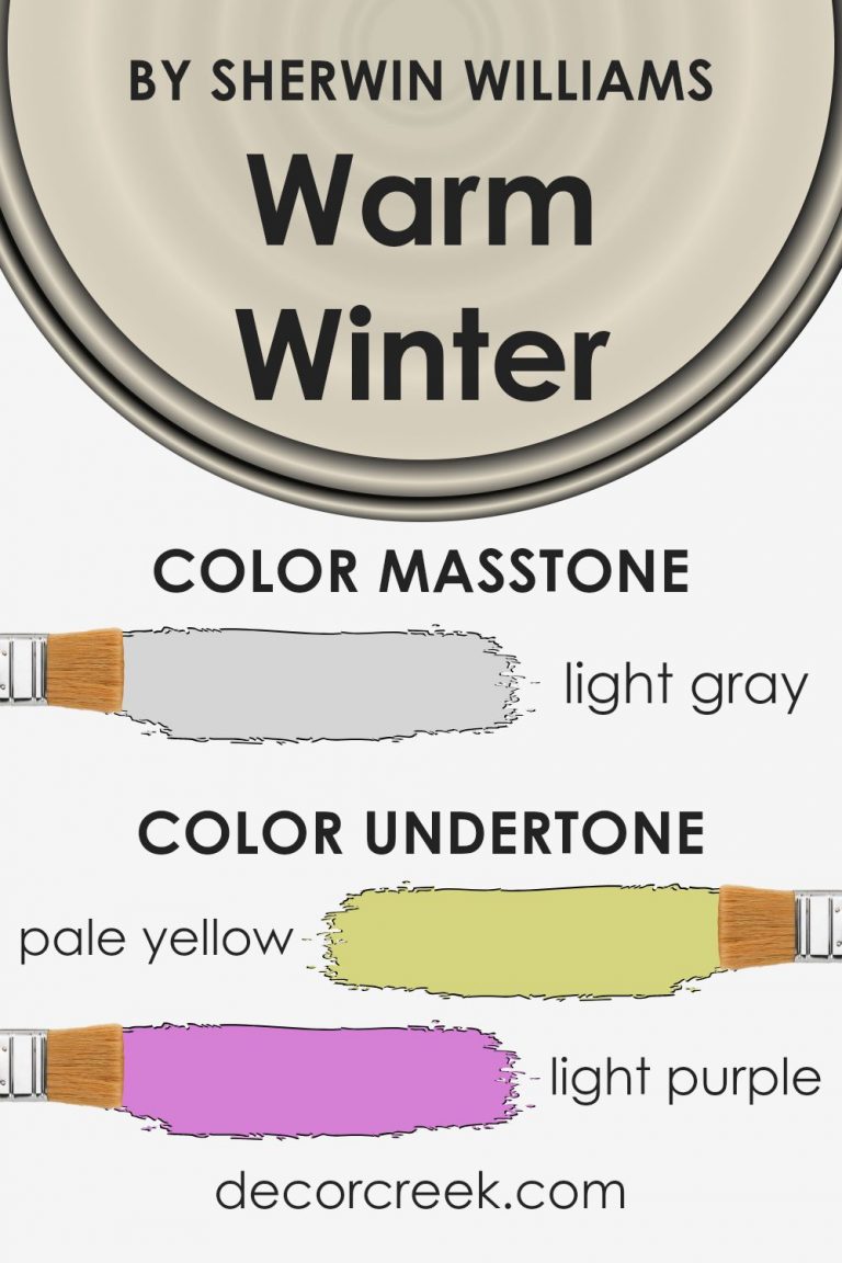 Warm Winter SW 9506 Paint Color by Sherwin Williams - DecorCreek