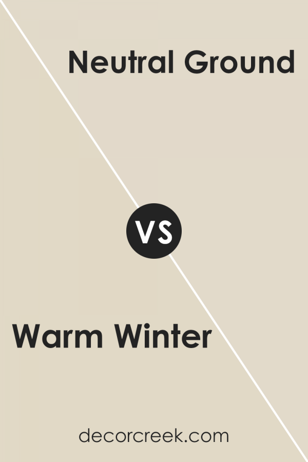 Warm Winter SW 9506 Paint Color by Sherwin Williams - DecorCreek