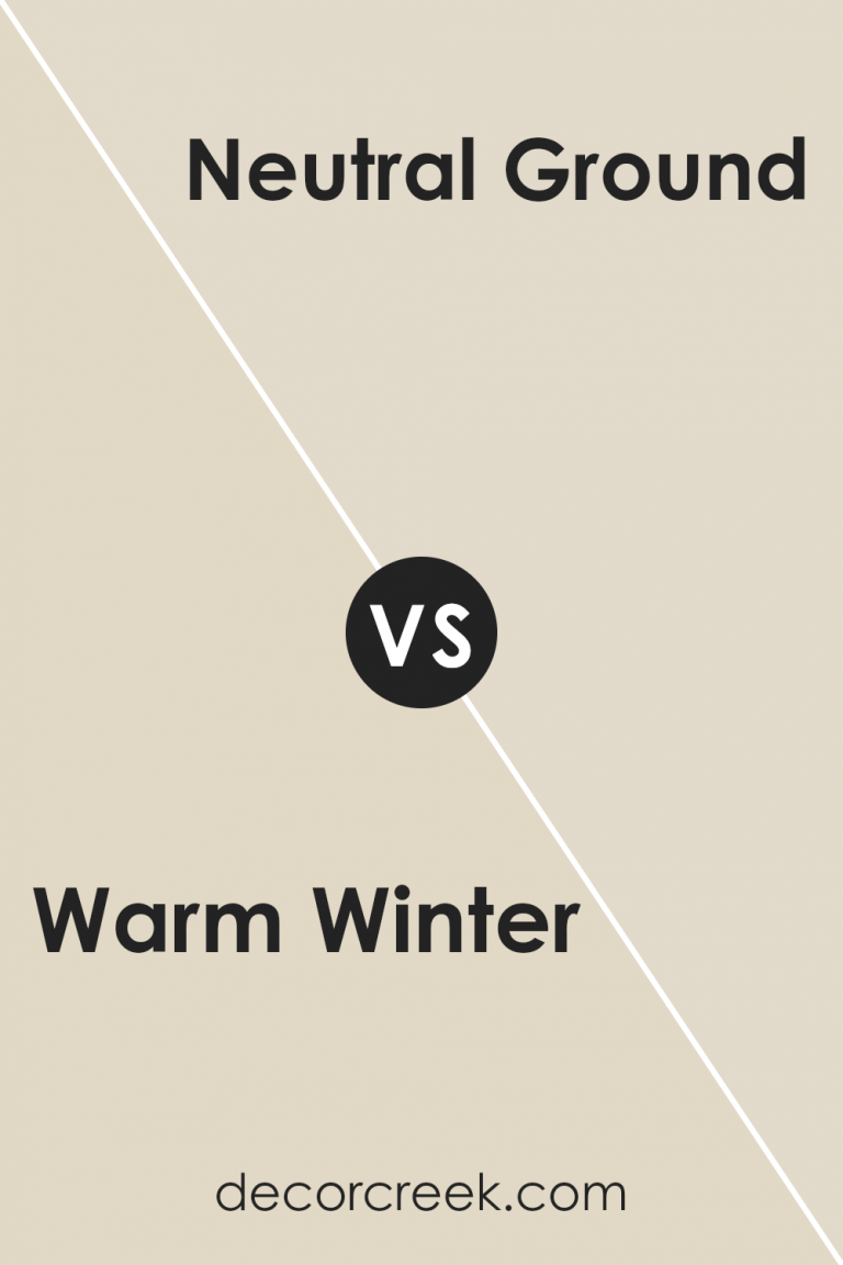 Warm Winter SW 9506 Paint Color by Sherwin Williams - DecorCreek