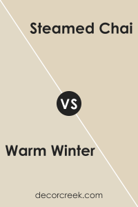 Warm Winter SW 9506 Paint Color by Sherwin Williams - DecorCreek