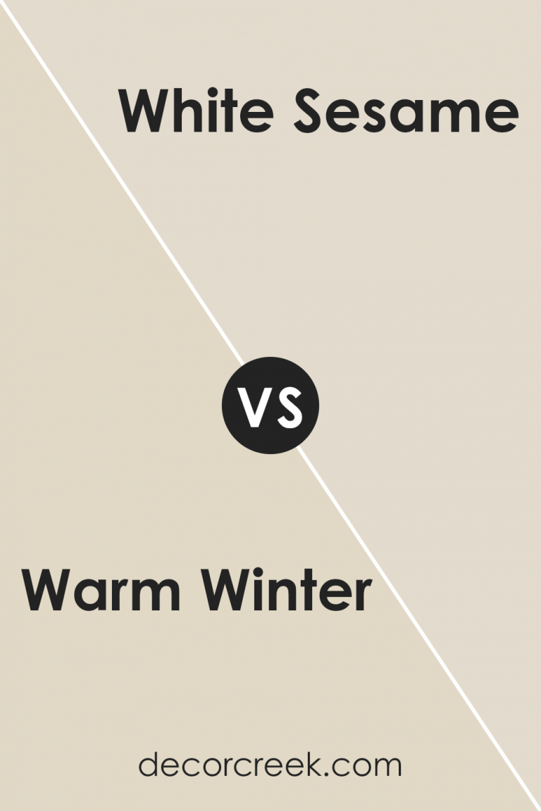 Warm Winter SW 9506 Paint Color by Sherwin Williams - DecorCreek