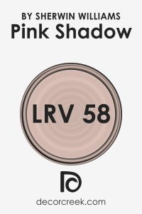 Pink Shadow SW 0070 Paint Color by Sherwin Williams - DecorCreek