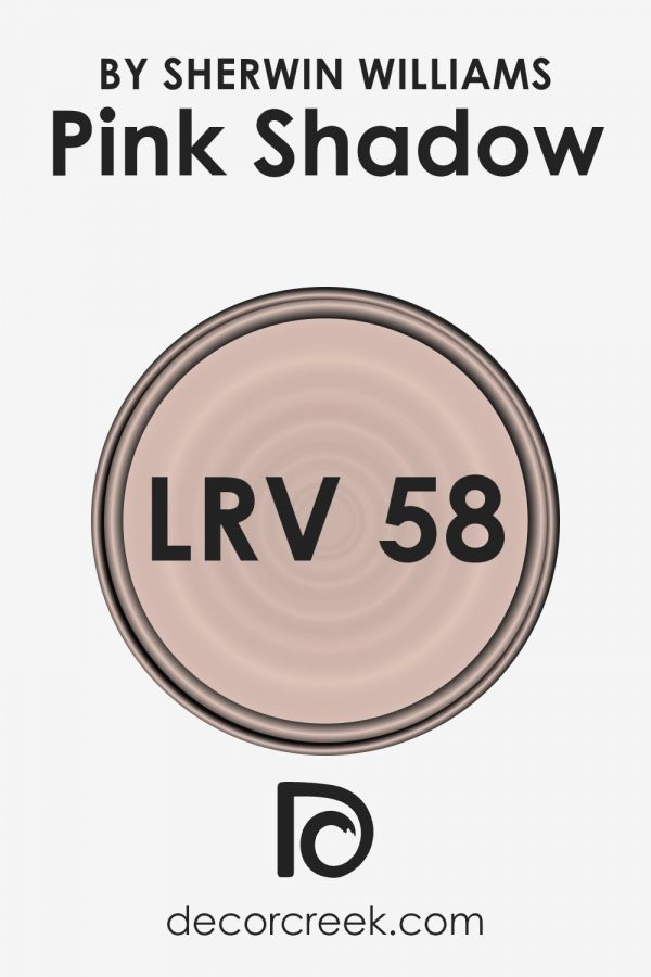 Pink Shadow SW 0070 Paint Color by Sherwin Williams - DecorCreek