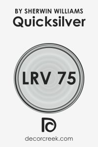 Quicksilver SW 6245 Paint Color by Sherwin Williams - DecorCreek