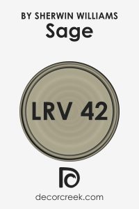 Sage SW 2860 Paint Color by Sherwin Williams - DecorCreek