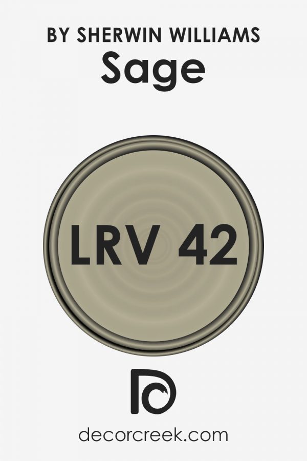 Sage SW 2860 Paint Color by Sherwin Williams - DecorCreek