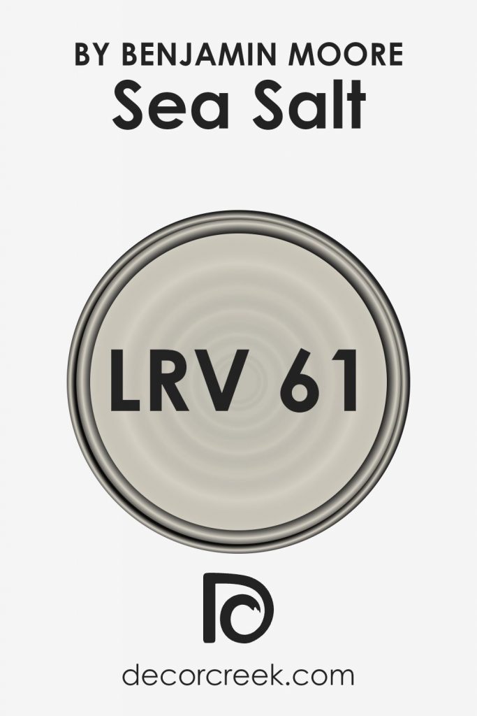 Sea Salt CSP-95 Paint Color by Benjamin Moore - DecorCreek