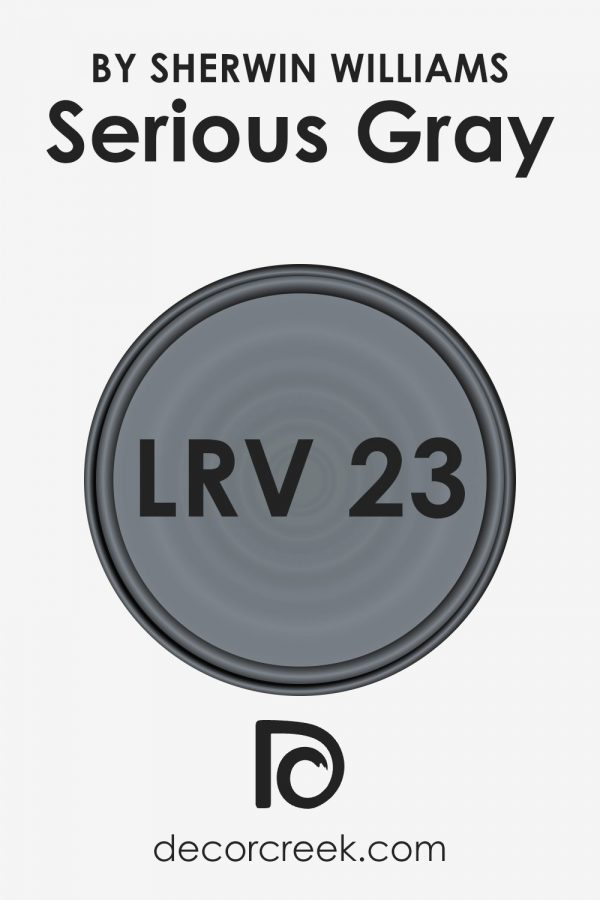 Serious Gray SW 6256 Paint Color by Sherwin Williams - DecorCreek