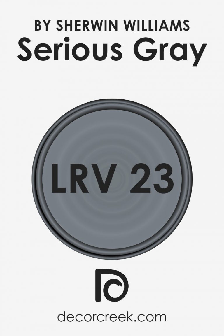 Serious Gray SW 6256 Paint Color by Sherwin Williams - DecorCreek