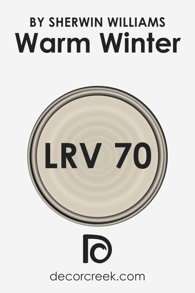 Warm Winter SW 9506 Paint Color by Sherwin Williams - DecorCreek