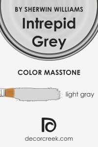 Intrepid Grey SW 9556 Paint Color by Sherwin Williams - DecorCreek