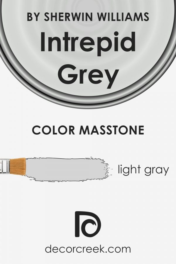 Intrepid Grey SW 9556 Paint Color by Sherwin Williams - DecorCreek