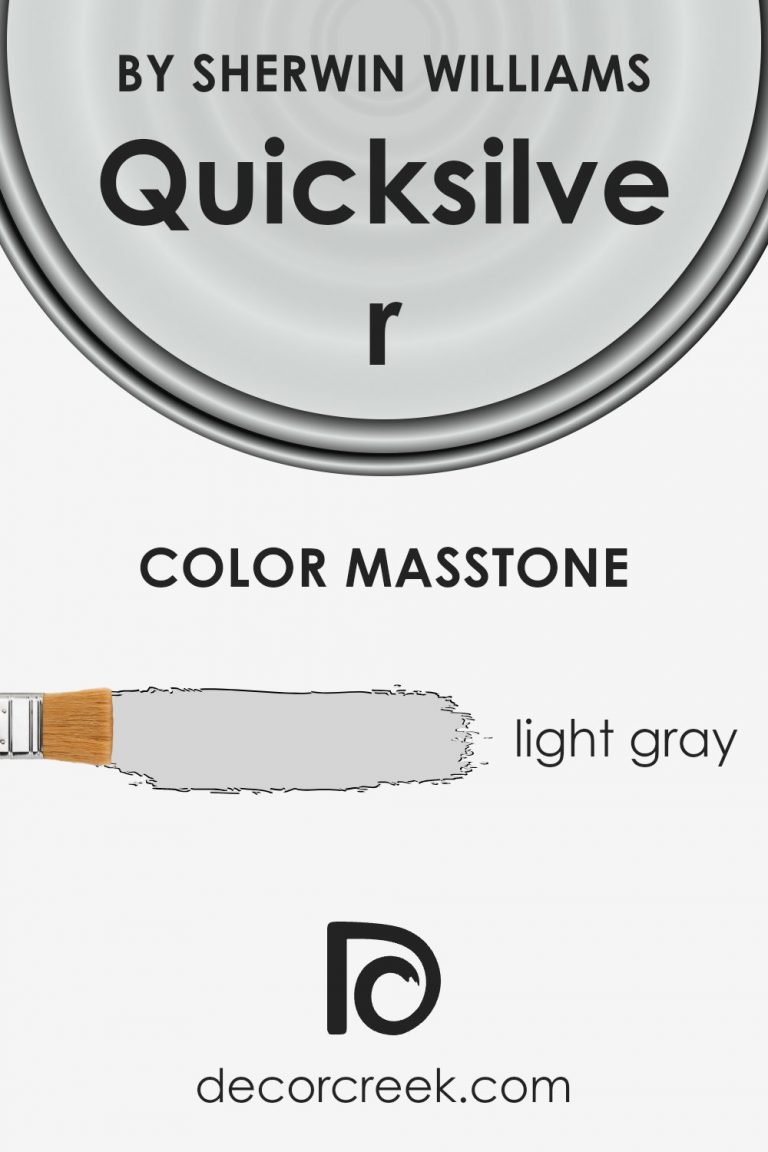 Quicksilver SW 6245 Paint Color by Sherwin Williams - DecorCreek