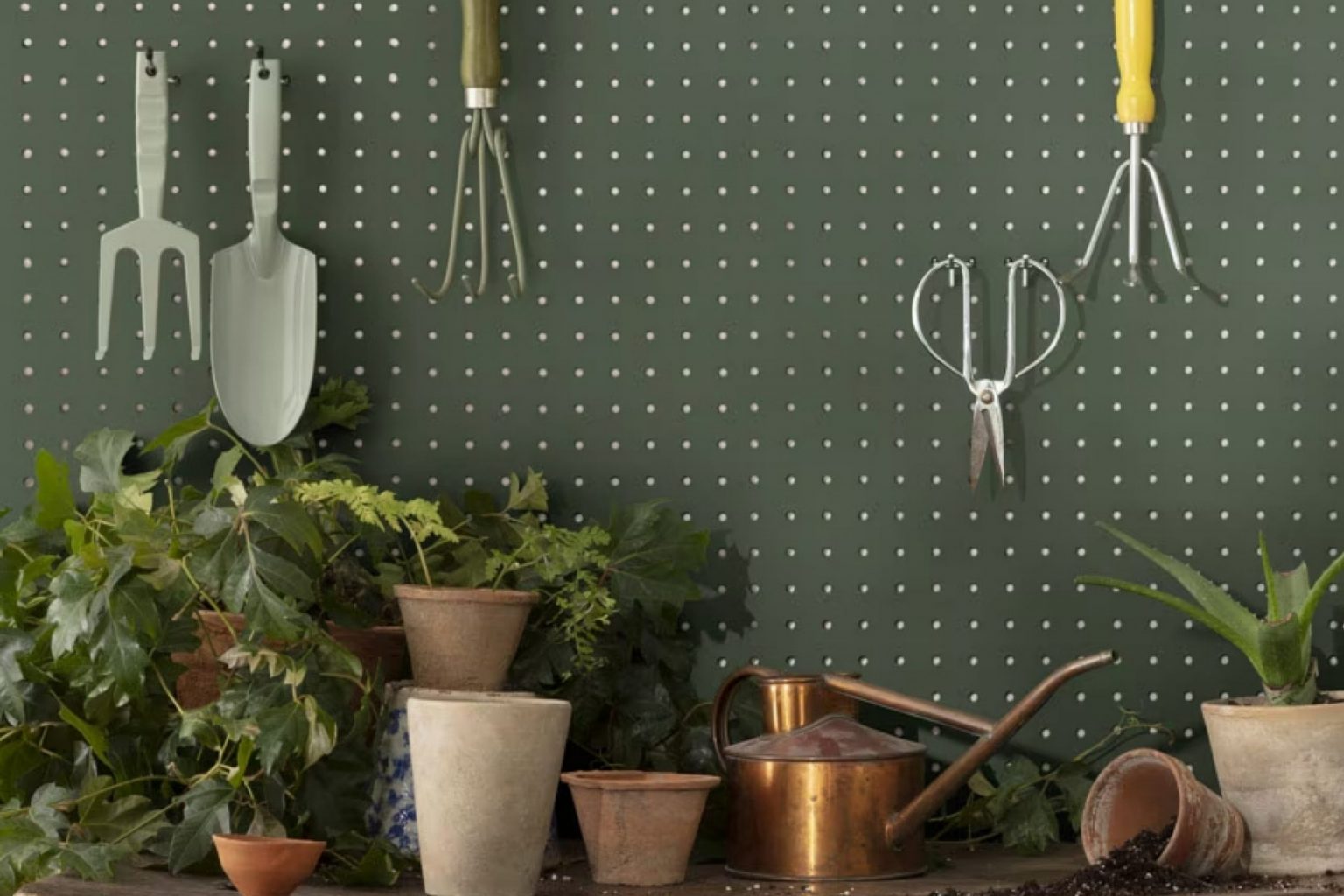 Backwoods 469 Paint Color by Benjamin Moore - DecorCreek