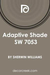 Adaptive Shade SW 7053 Paint Color by Sherwin Williams - DecorCreek