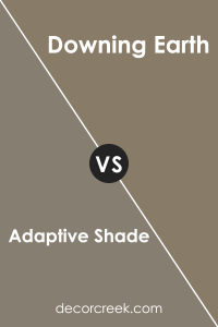 Adaptive Shade SW 7053 Paint Color by Sherwin Williams - DecorCreek