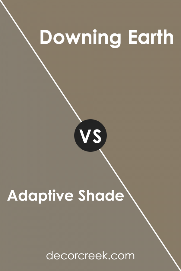 Adaptive Shade SW 7053 Paint Color by Sherwin Williams - DecorCreek