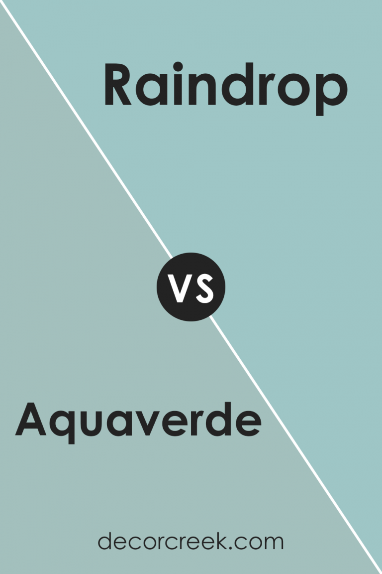 Aquaverde SW 9051 Paint Color by Sherwin Williams - DecorCreek