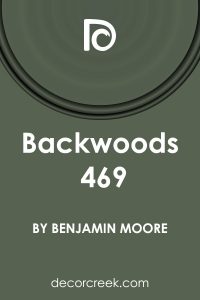 Backwoods 469 Paint Color by Benjamin Moore - DecorCreek