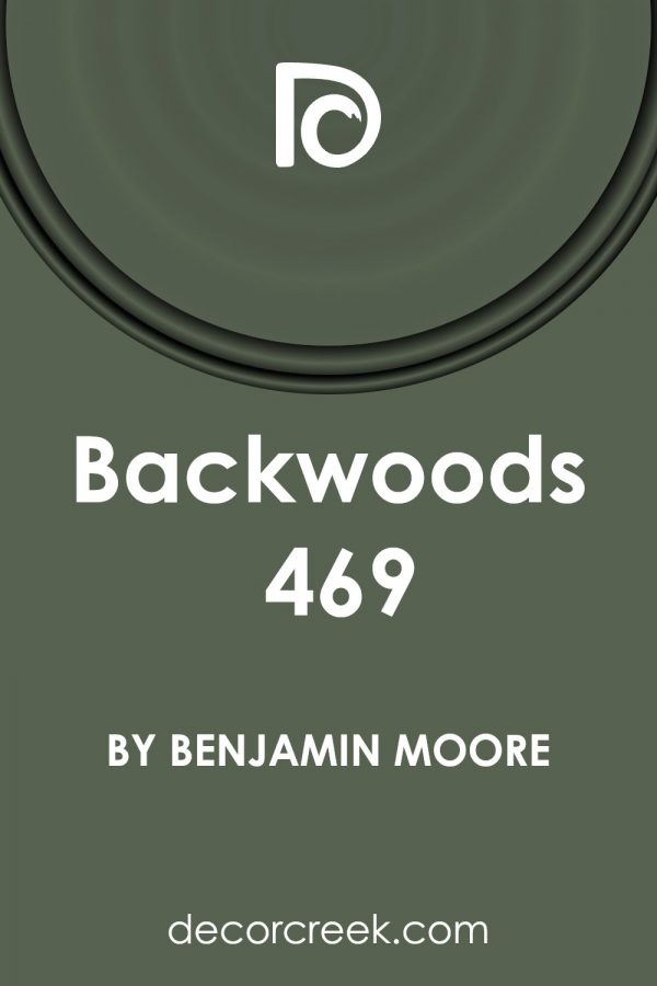 Backwoods 469 Paint Color by Benjamin Moore - DecorCreek