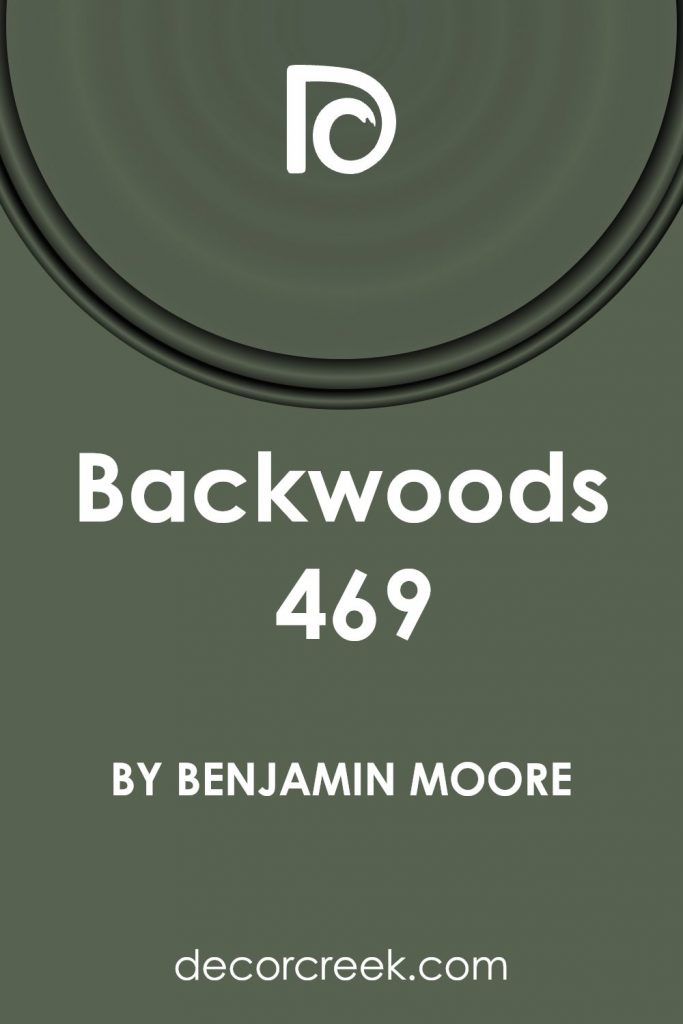 Backwoods 469 Paint Color by Benjamin Moore - DecorCreek
