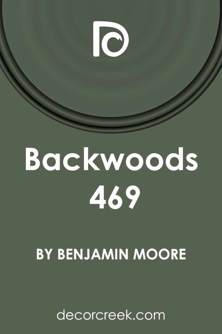 Backwoods 469 Paint Color by Benjamin Moore - DecorCreek