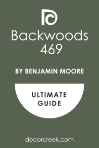 Backwoods 469 Paint Color by Benjamin Moore - DecorCreek