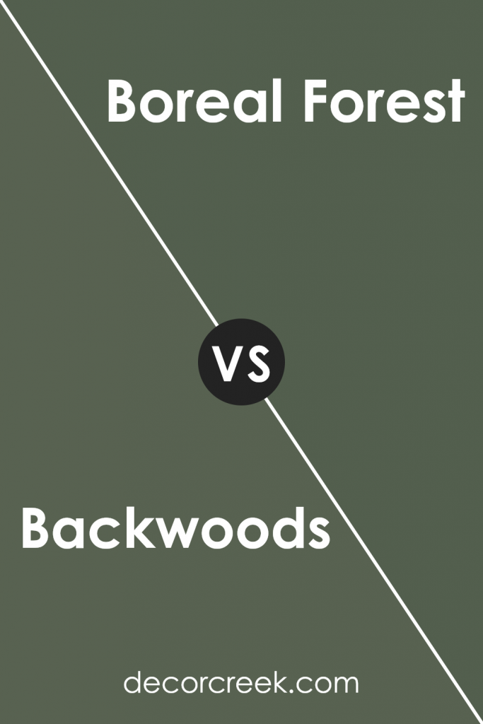 Backwoods 469 Paint Color by Benjamin Moore - DecorCreek
