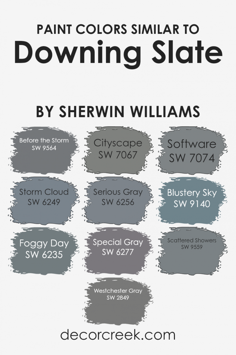 Downing Slate SW 2819 Paint Color by Sherwin Williams - DecorCreek
