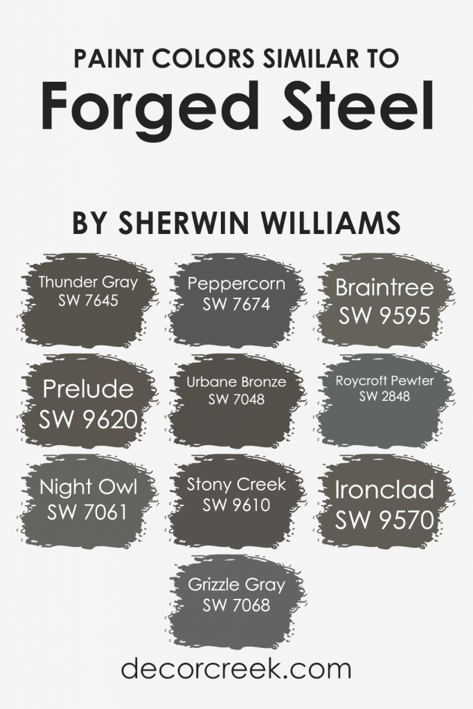 Forged Steel SW 9565 Paint Color by Sherwin Williams - DecorCreek