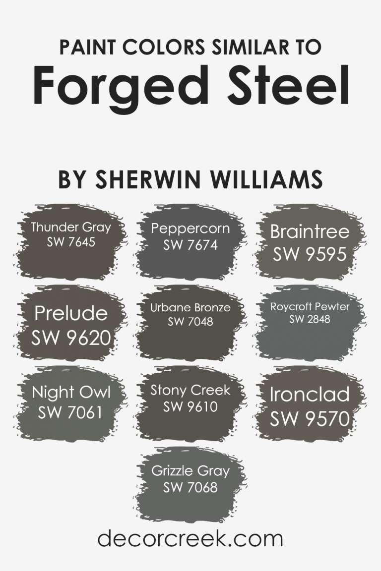 Forged Steel SW 9565 Paint Color by Sherwin Williams - DecorCreek