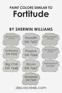 Fortitude SW 9562 Paint Color by Sherwin Williams - DecorCreek