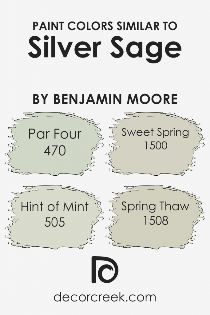 Silver Sage 506 Paint Color by Benjamin Moore - DecorCreek