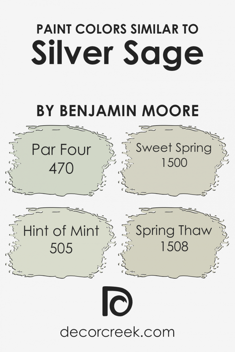 Silver Sage 506 Paint Color by Benjamin Moore - DecorCreek