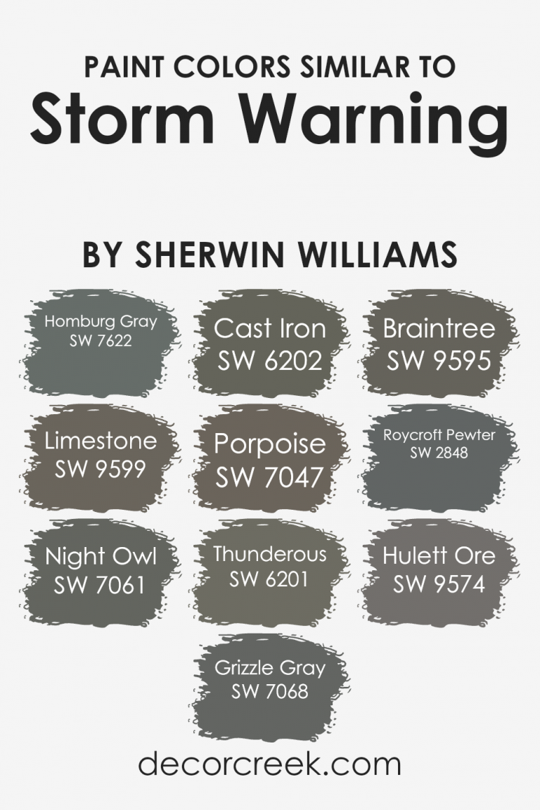 Storm Warning SW 9555 Paint Color by Sherwin Williams - DecorCreek