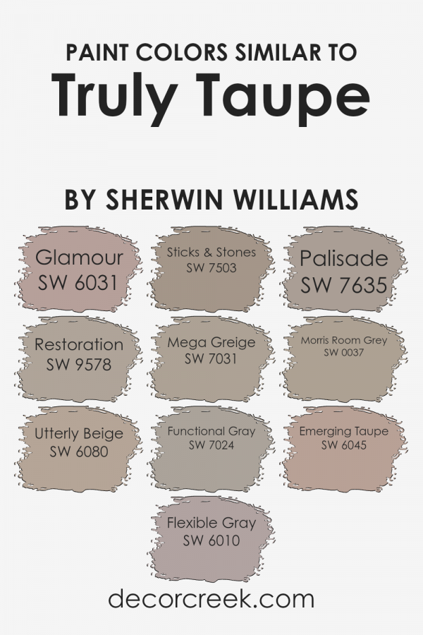Truly Taupe SW 6038 Paint Color by Sherwin Williams - DecorCreek