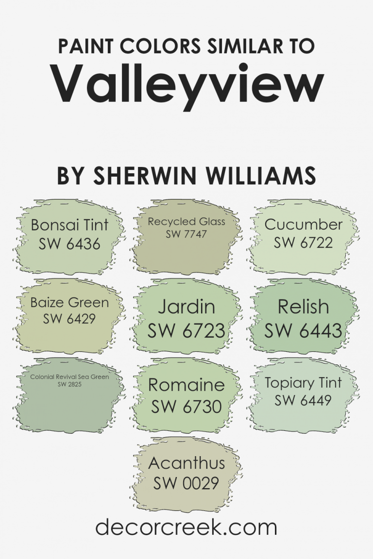 Valleyview SW 9673 Paint Color by Sherwin Williams - DecorCreek