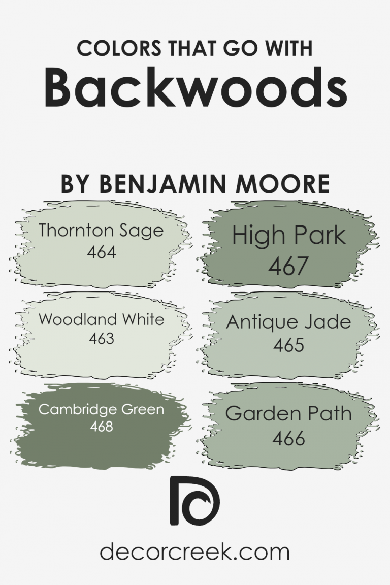 Backwoods 469 Paint Color by Benjamin Moore - DecorCreek