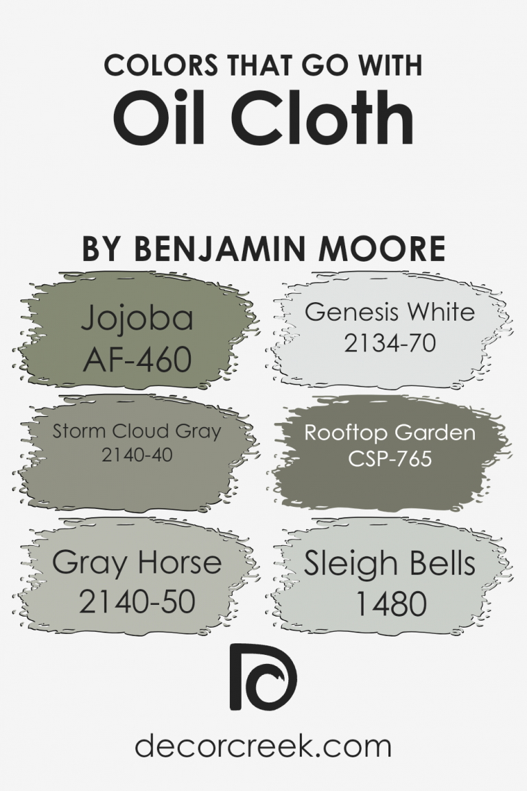 Oil Cloth CSP-760 Paint Color by Benjamin Moore - DecorCreek