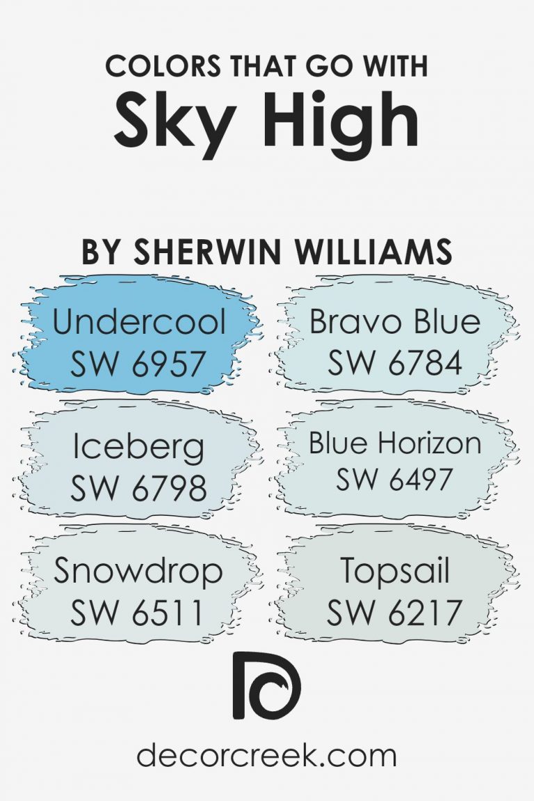 Sky High SW 6504 Paint Color by Sherwin Williams - DecorCreek