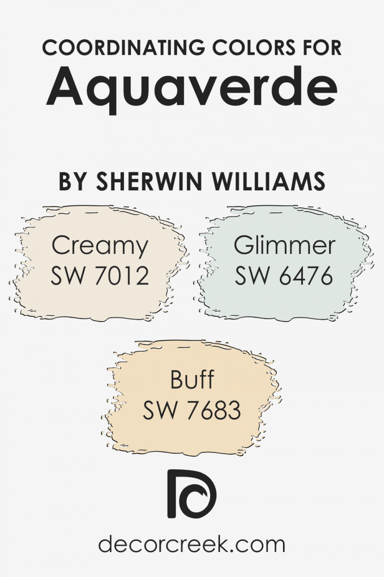 Aquaverde SW 9051 Paint Color by Sherwin Williams - DecorCreek