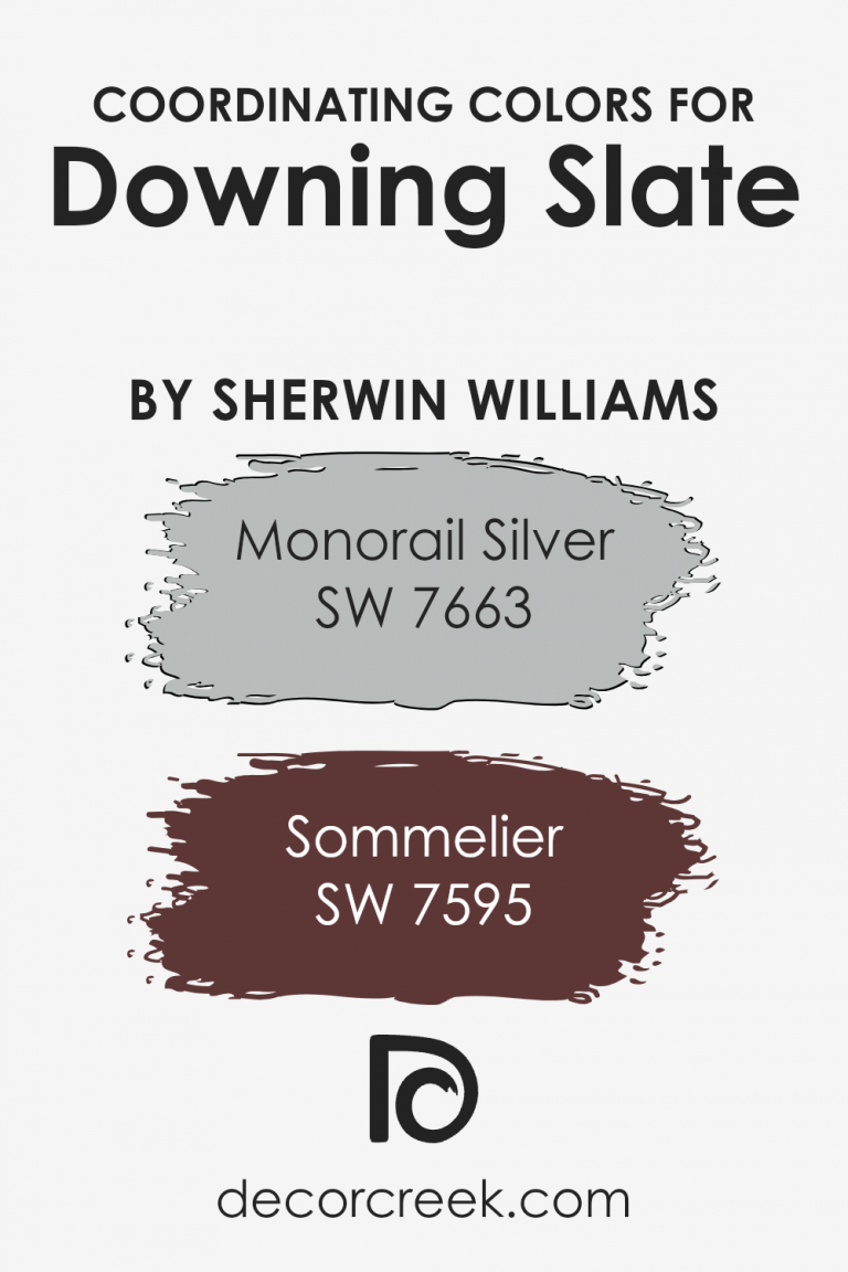 Downing Slate SW 2819 Paint Color by Sherwin Williams - DecorCreek