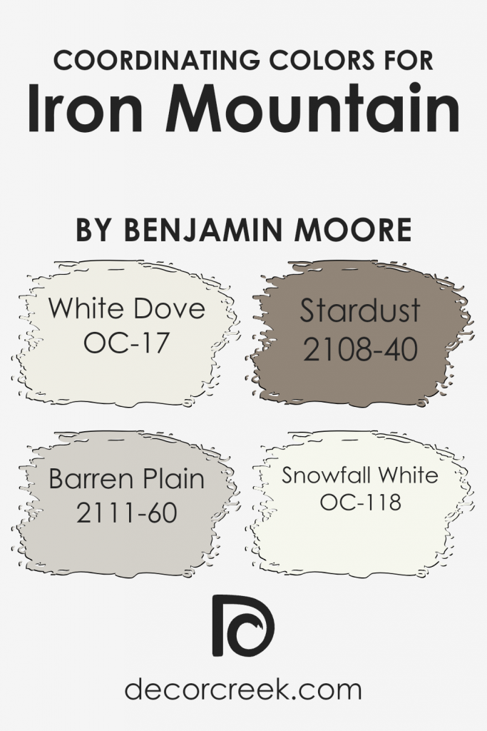 Iron Mountain 2134-30 Paint Color by Benjamin Moore - DecorCreek