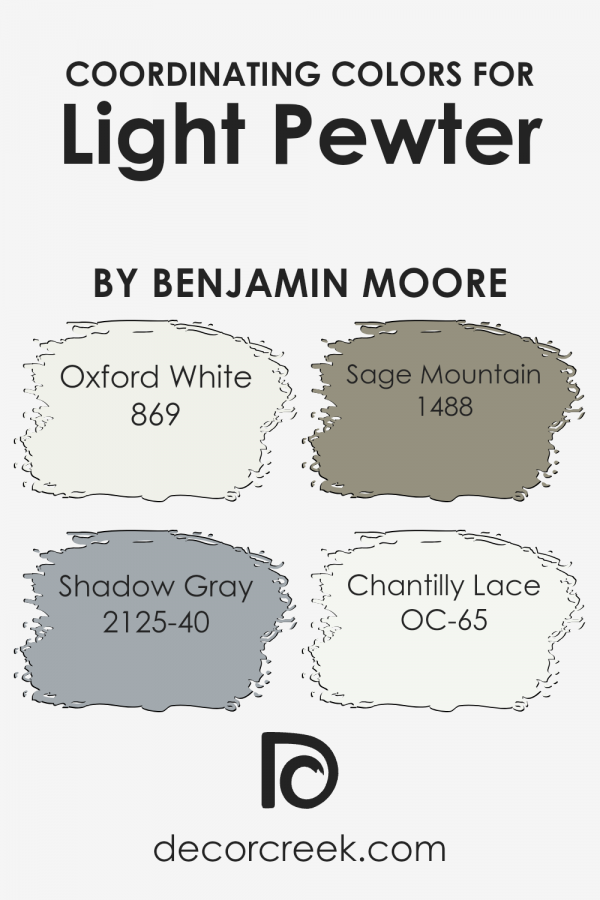 Light Pewter 1464 Paint Color by Benjamin Moore - DecorCreek