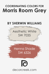 Morris Room Grey SW 0037 Paint Color by Sherwin Williams - DecorCreek