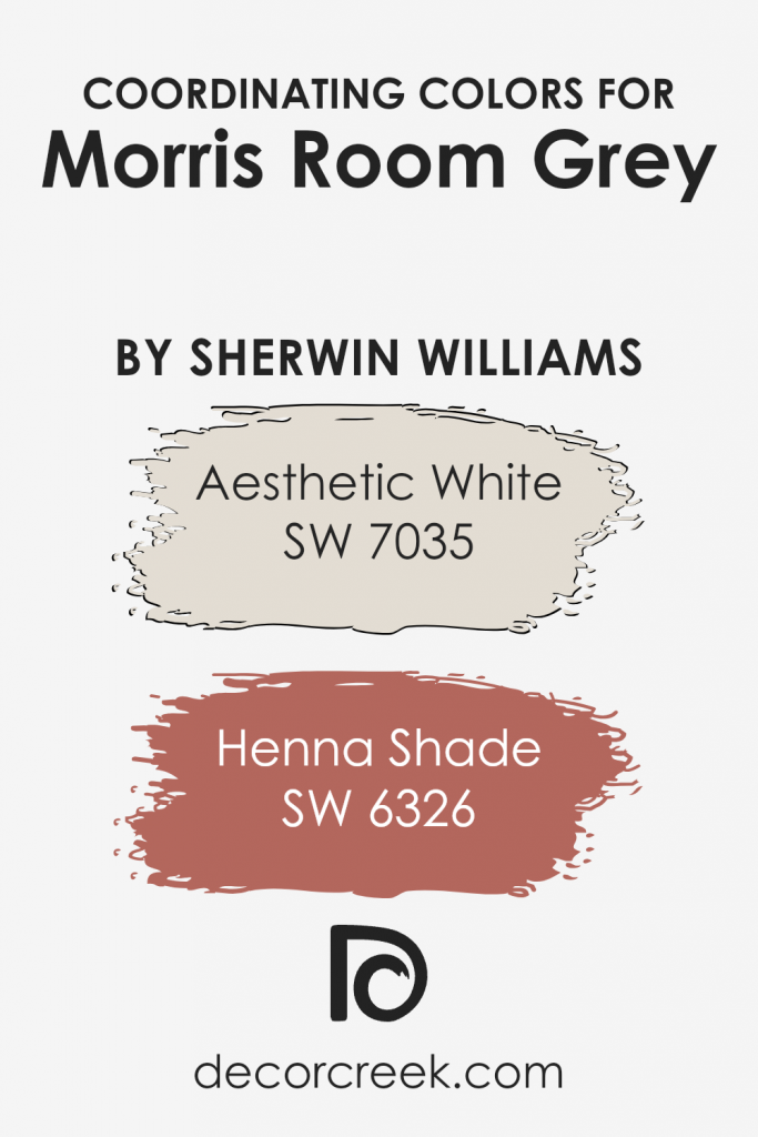 Morris Room Grey SW 0037 Paint Color by Sherwin Williams - DecorCreek
