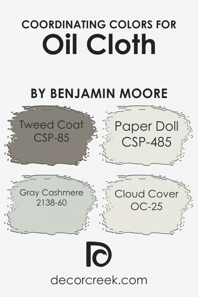 Oil Cloth CSP-760 Paint Color by Benjamin Moore - DecorCreek