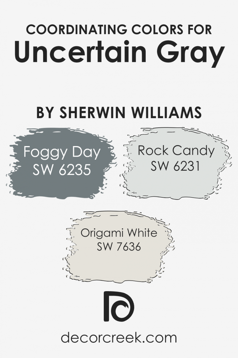 Uncertain Gray SW 6234 Paint Color by Sherwin Williams - DecorCreek